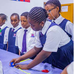 About - The Cradle School